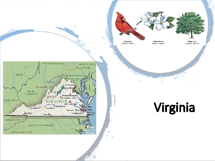 Region 3 Where is AWOP in 5 years