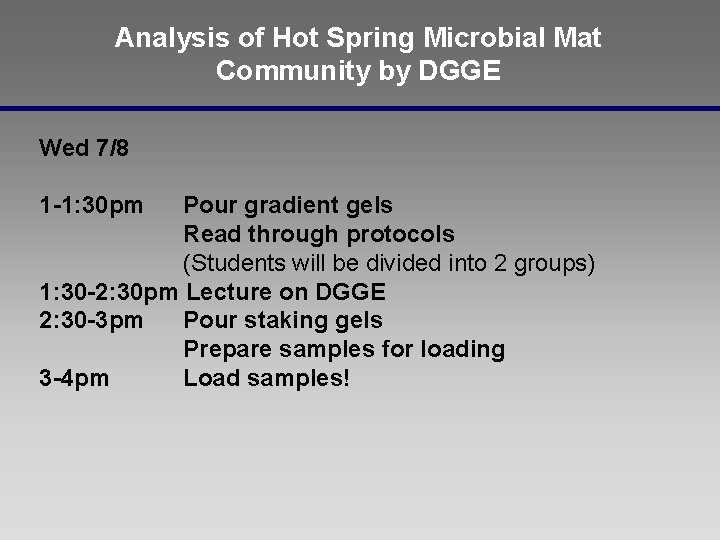 Analysis of Hot Spring Microbial Mat Community by