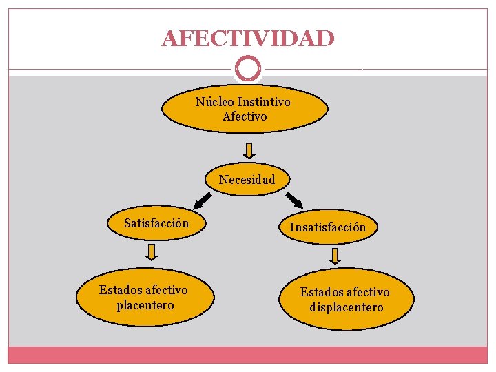 AFECTO LIC SUSAN SALAZAR DRA SOLANGE RIVAS AFECTIVIDAD