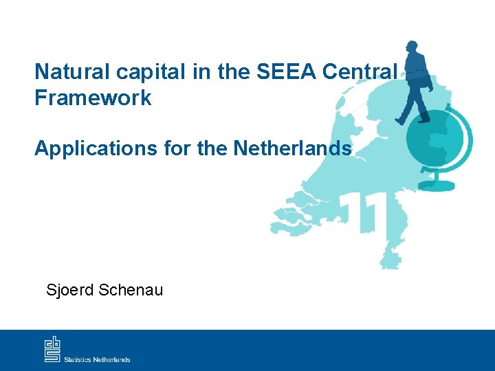 Natural capital in the SEEA Central Framework Applications