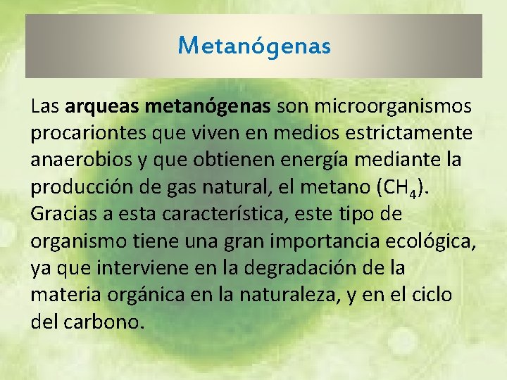 Asignatura Ciencias Naturales biologa Tema Las arqueobacteria Integrantes