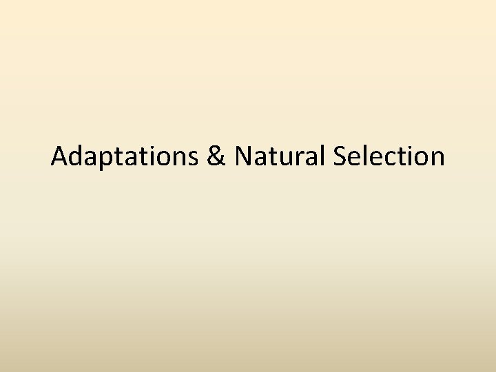 Adaptations Natural Selection NICHE A habitat supplying factors