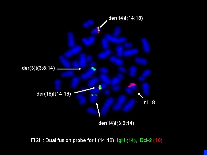 Can Cytogenetics and FISH survive in the modern