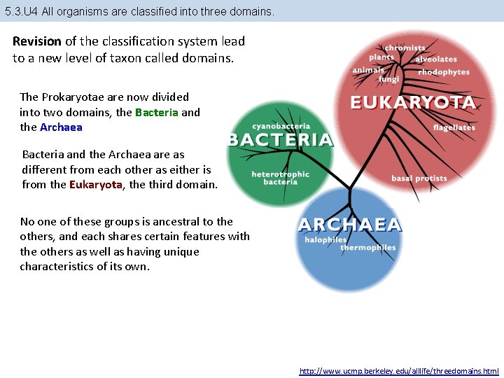 5 3 Classification of biodiversity The Swedish botanist