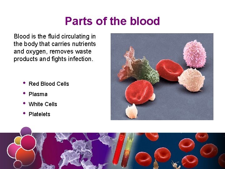 Parts of the blood Blood is the fluid