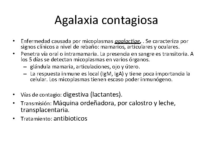 OVICAPRINOS Fisiologa General Estmago con cuatro divisiones Carbohidratos