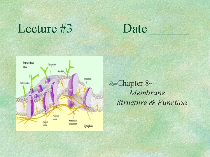 Lecture 3 Date Chapter 8 Membrane Structure Function