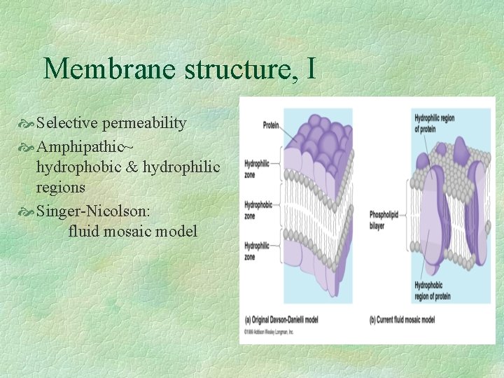 Lecture 3 Date Chapter 8 Membrane Structure Function