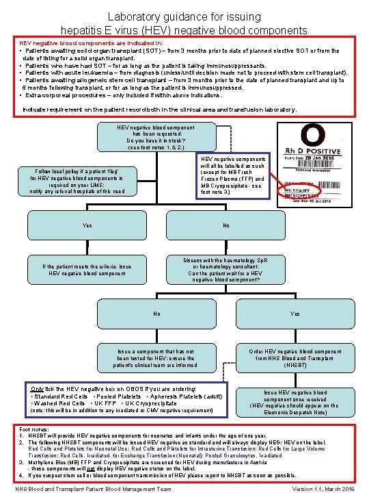 Laboratory guidance for issuing hepatitis E virus HEV