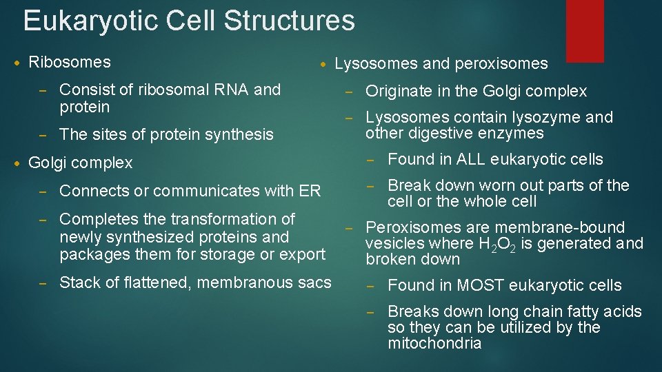 Chapter 3 Cell Structure and Taxonomy Introduction Cell
