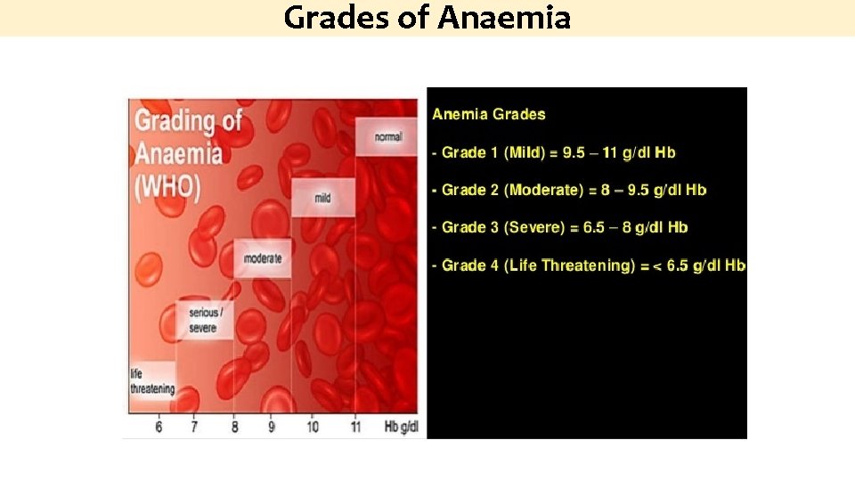 Anemia By Dr Sunita Mittal Learning Objectives What
