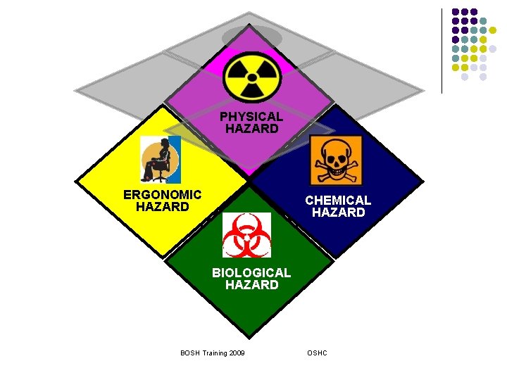 OCCUPATIONAL HEALTH HAZARDS BOSH Training 2009 OSHC PHYSICAL