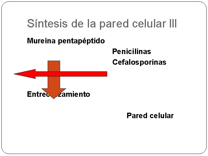 Antimicrobianos Ciencias ambientales Estructura bacteriana bsica ADNn ...