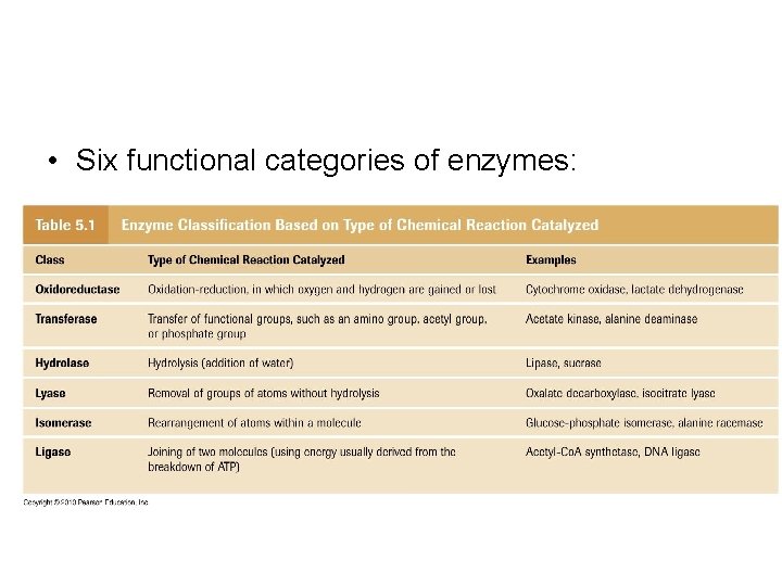 CHAPTER 5 MICROBIAL METABOLISM Energy Chemical work Transport
