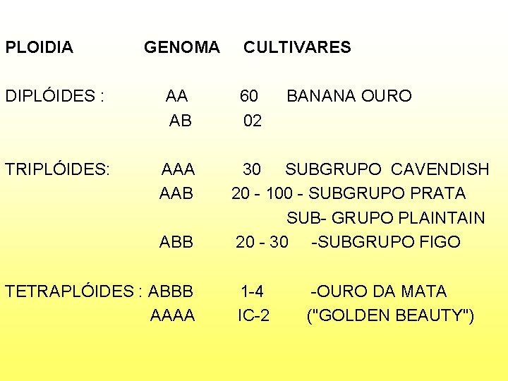 CULTURA DA BANANA BOT NICA E VARIEDADES ORDEM