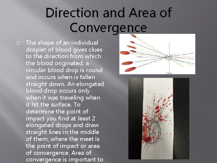 BLOOD SPATTER Jessie Carrillo 7 Th Period Blood