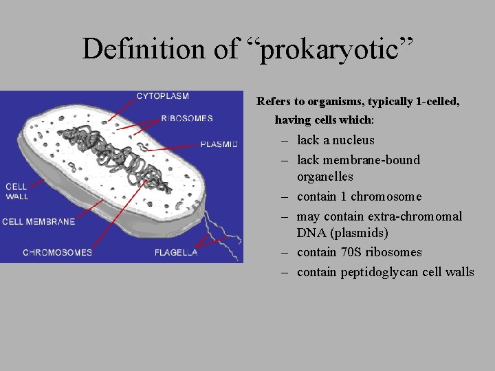 Chapter 4 Functional Anatomy of Prokaryotic and Eukaryotic