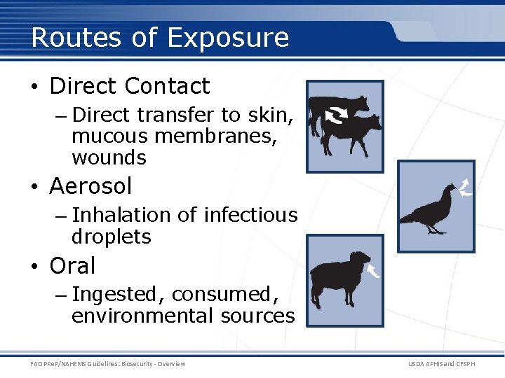 Biosecurity Overview Adapted from the FAD PRe PNAHEMS