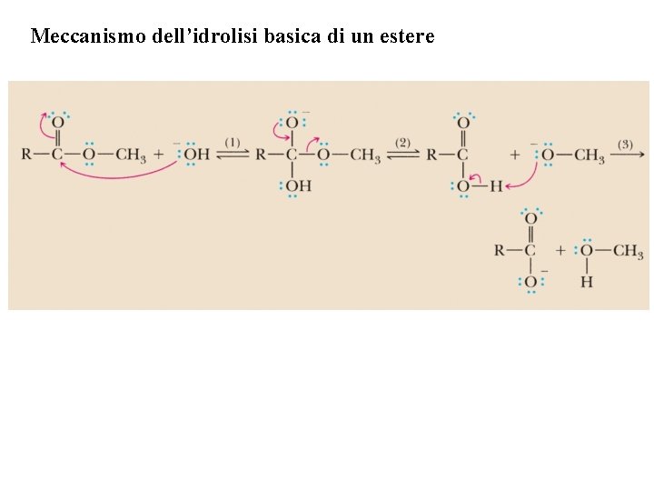 Reattivit degli acidi carbossilici e derivati La reazione