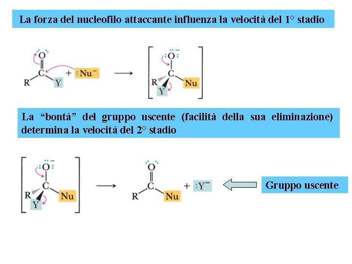 Reattivit degli acidi carbossilici e derivati La reazione