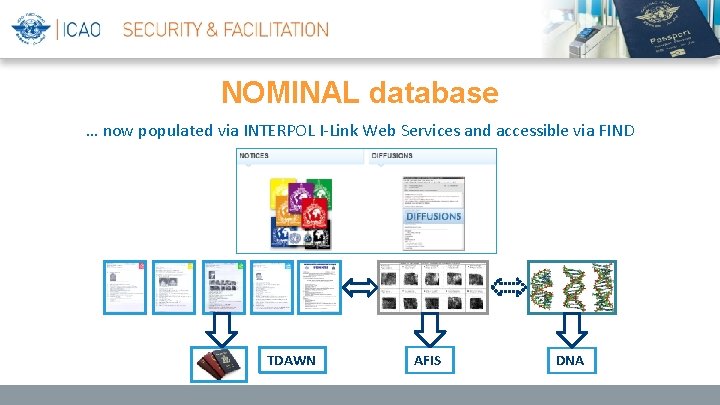 INTERPOL Commitment in Developing Interoperable Border Solutions Fabrizio