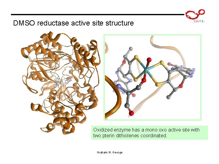 Xray Absorption Spectroscopy of Molybdenum Enzymes Graham N