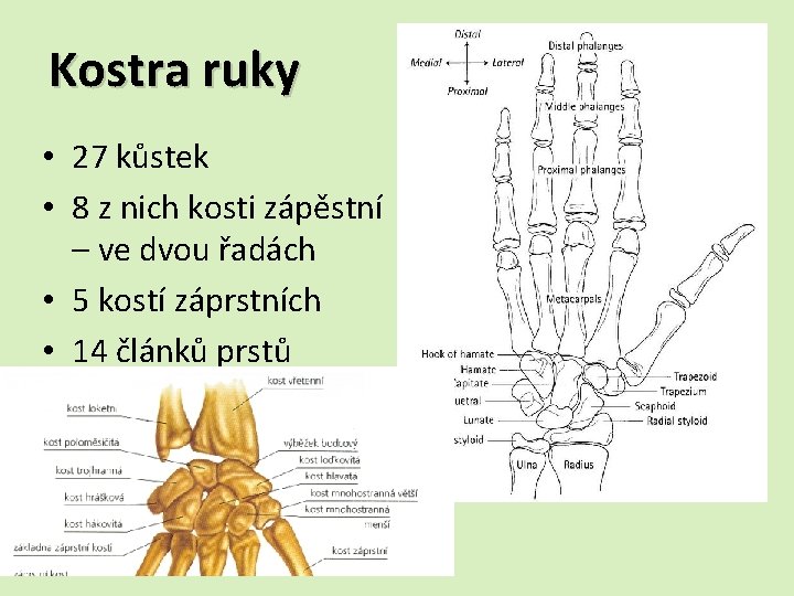 EU penze stednm kolm Nzev vzdlvacho materilu Kostra