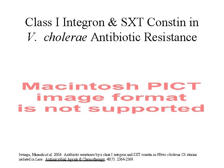 The Vibrio cholerae Toxin CoRegulated Pilus TCPtargeted Vaccine