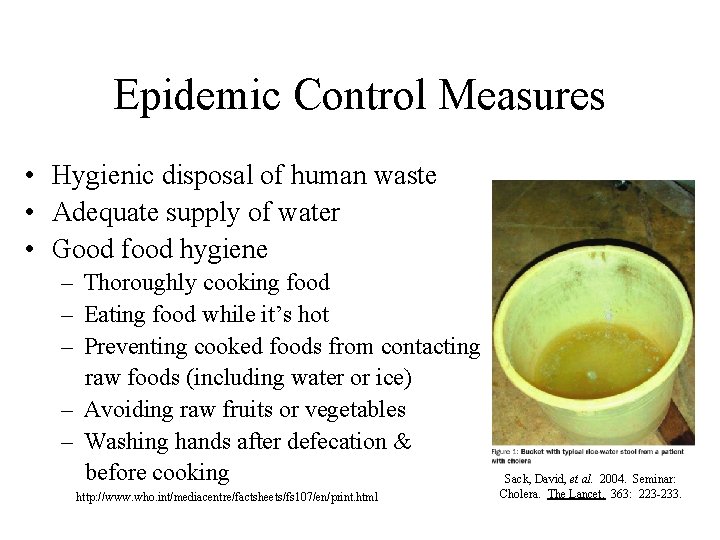 The Vibrio cholerae Toxin CoRegulated Pilus TCPtargeted Vaccine