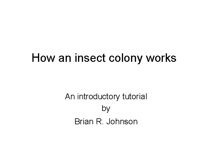 How an insect colony works An introductory tutorial