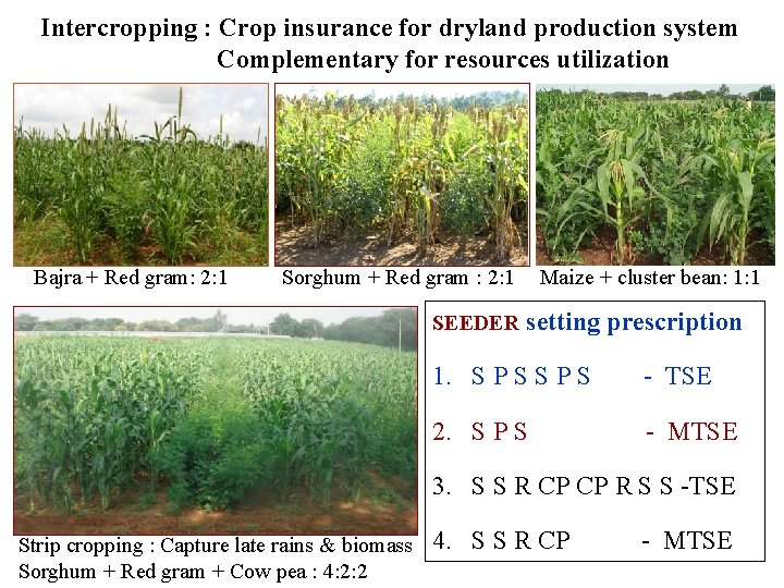 Small Farm Mechanization Appropriate Technologies and Innovations B