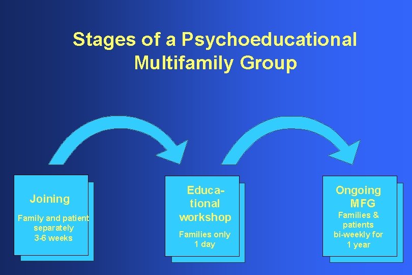 PSYCHOEDUCATION WORKSHOP FOR FAMILIES Raising the Bar Project