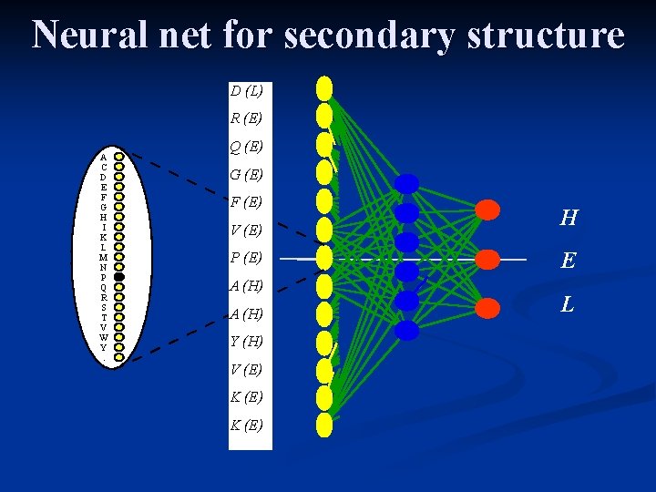 Protein Structure Databases N Databases Of Three Dimensional