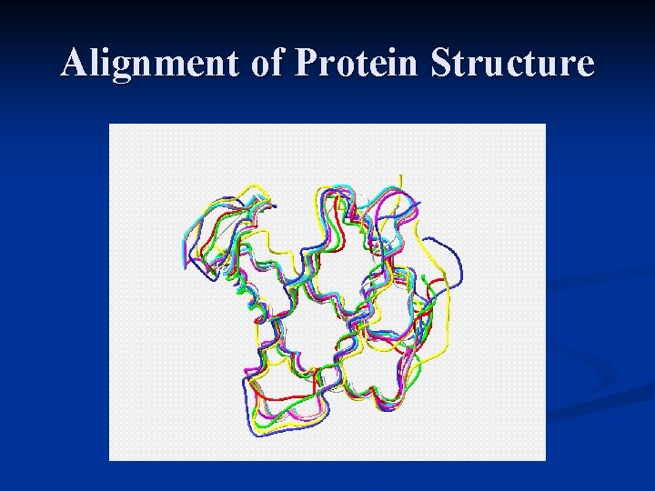 Protein Structure Databases n Databases of three dimensional