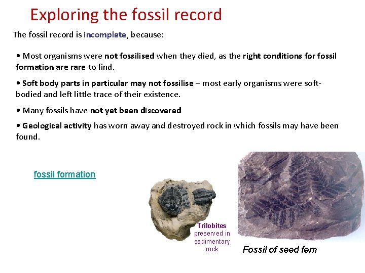 Evolution and extinction Key points to consider How