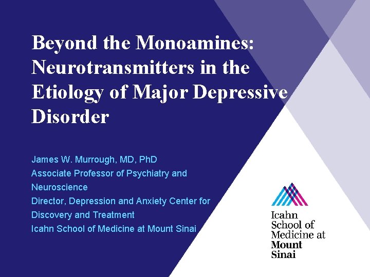 Beyond the Monoamines Neurotransmitters in the Etiology of
