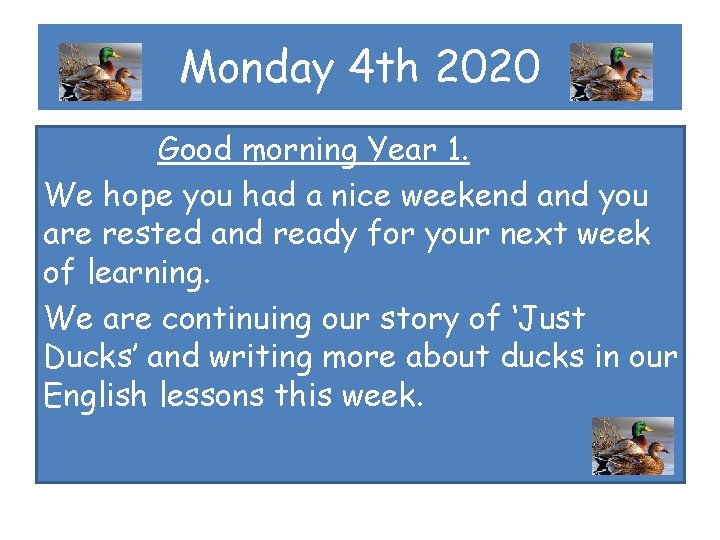 Monday 4 th 2020 Good morning Year 1
