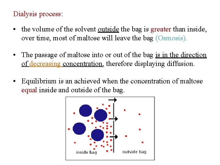 LAB 6 DIALYSIS KAUFaculty of Science Biochemistry department