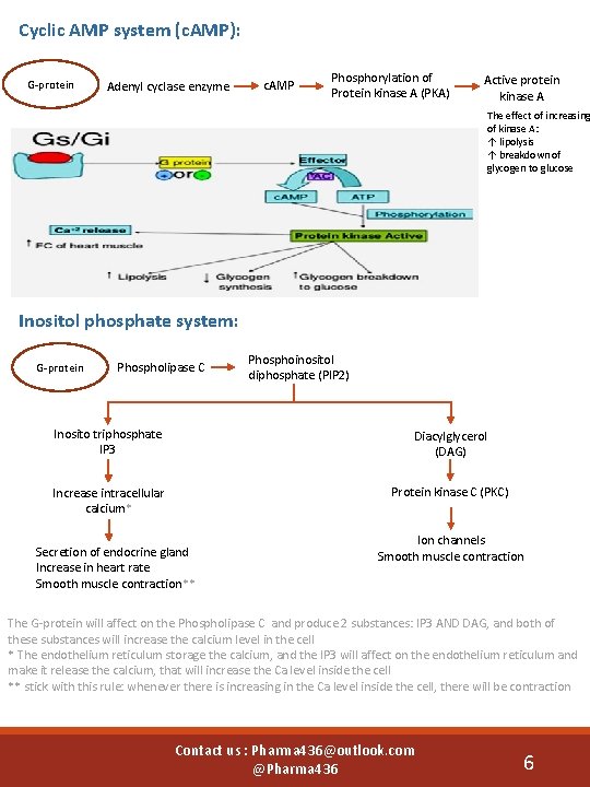 7 Receptors families Objectives Classify receptors into their