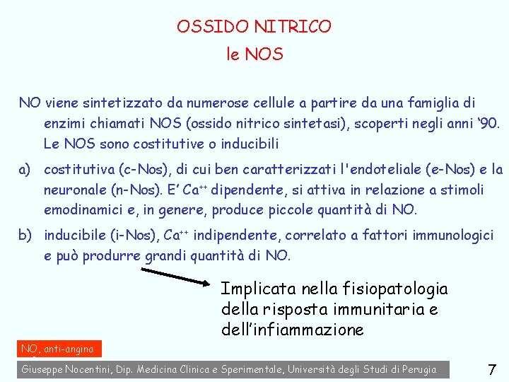 Il ruolo fisiologico dellossido nitrico NO e i