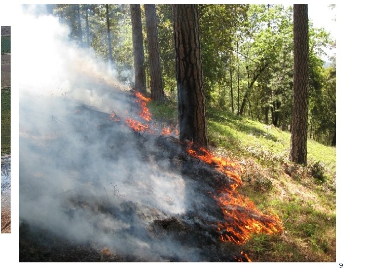 Prescribed Burning Smoke Management Regulations Doug Carson Air