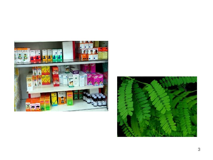 Standar Mikrobiologi dan Uji Mikrobiologi untuk Bahan dan