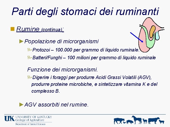 Fisiologia digestiva degli animali in allevamento Dr Richard