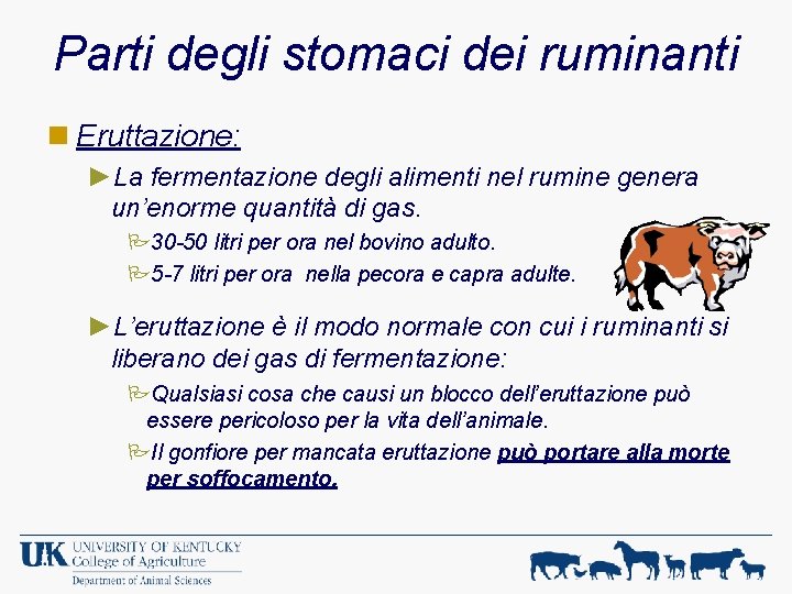 Fisiologia digestiva degli animali in allevamento Dr Richard