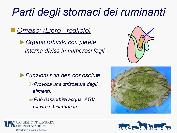 Fisiologia digestiva degli animali in allevamento Dr Richard