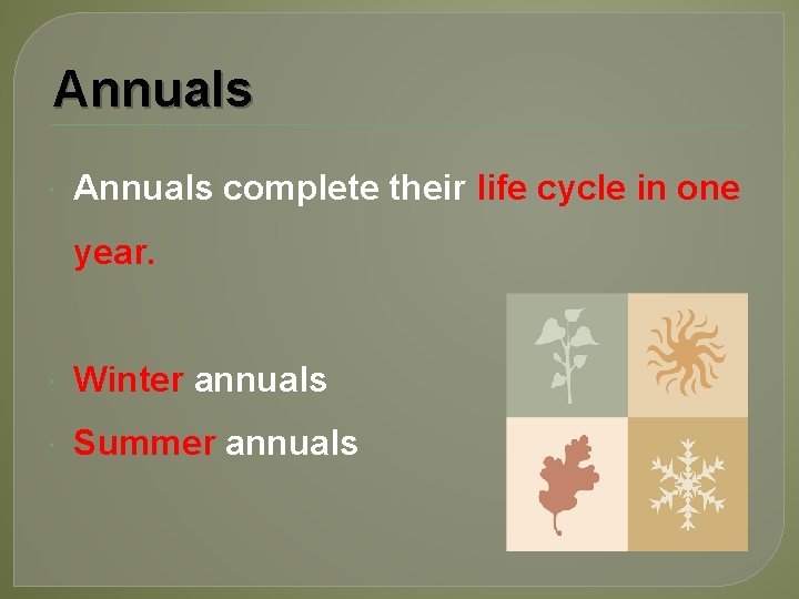 Weed Identification National Railroad Contractors Association Plant Biology