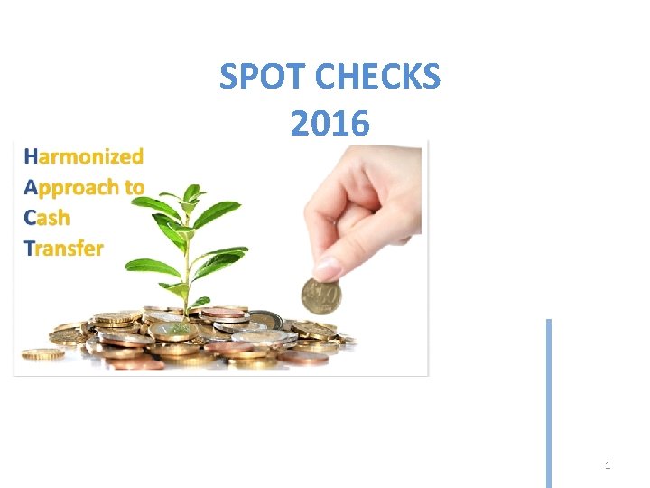SPOT CHECKS 2016 1 Overview 1 WHAT IS