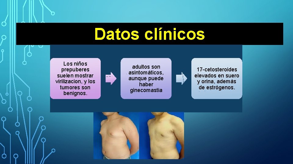 UNIVERSIDAD DE LA HABANA FACULTAD DE CIENCIAS MDICAS