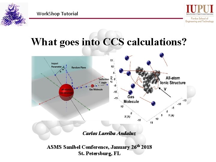 Work Shop Tutorial What goes into CCS calculations