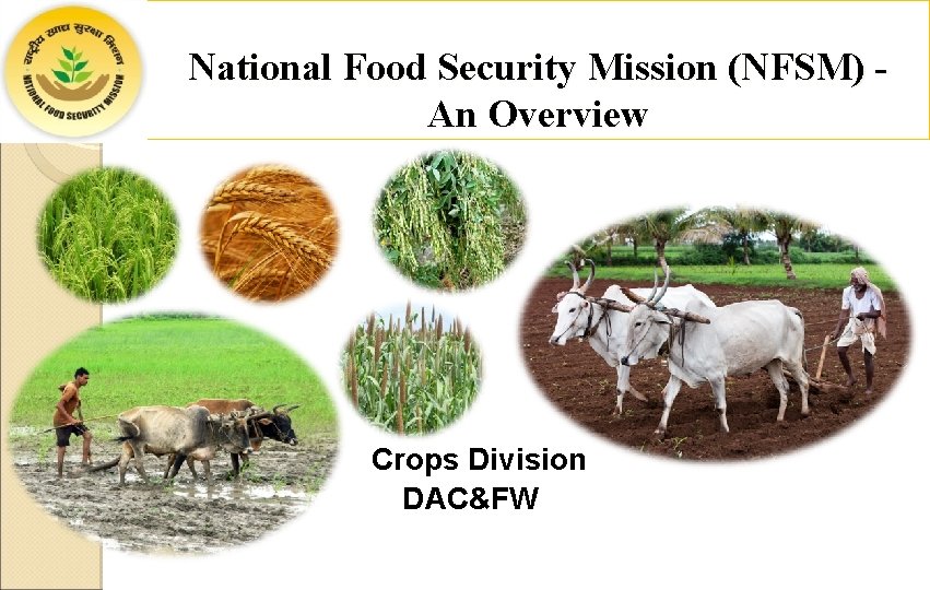 National Food Security Mission NFSM An Overview Crops